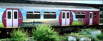 Local buses and trains