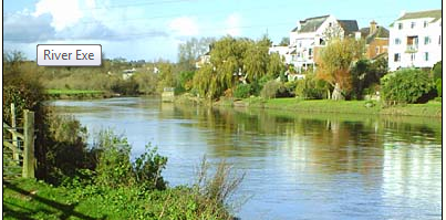 Discover Devon during a language study trip to England